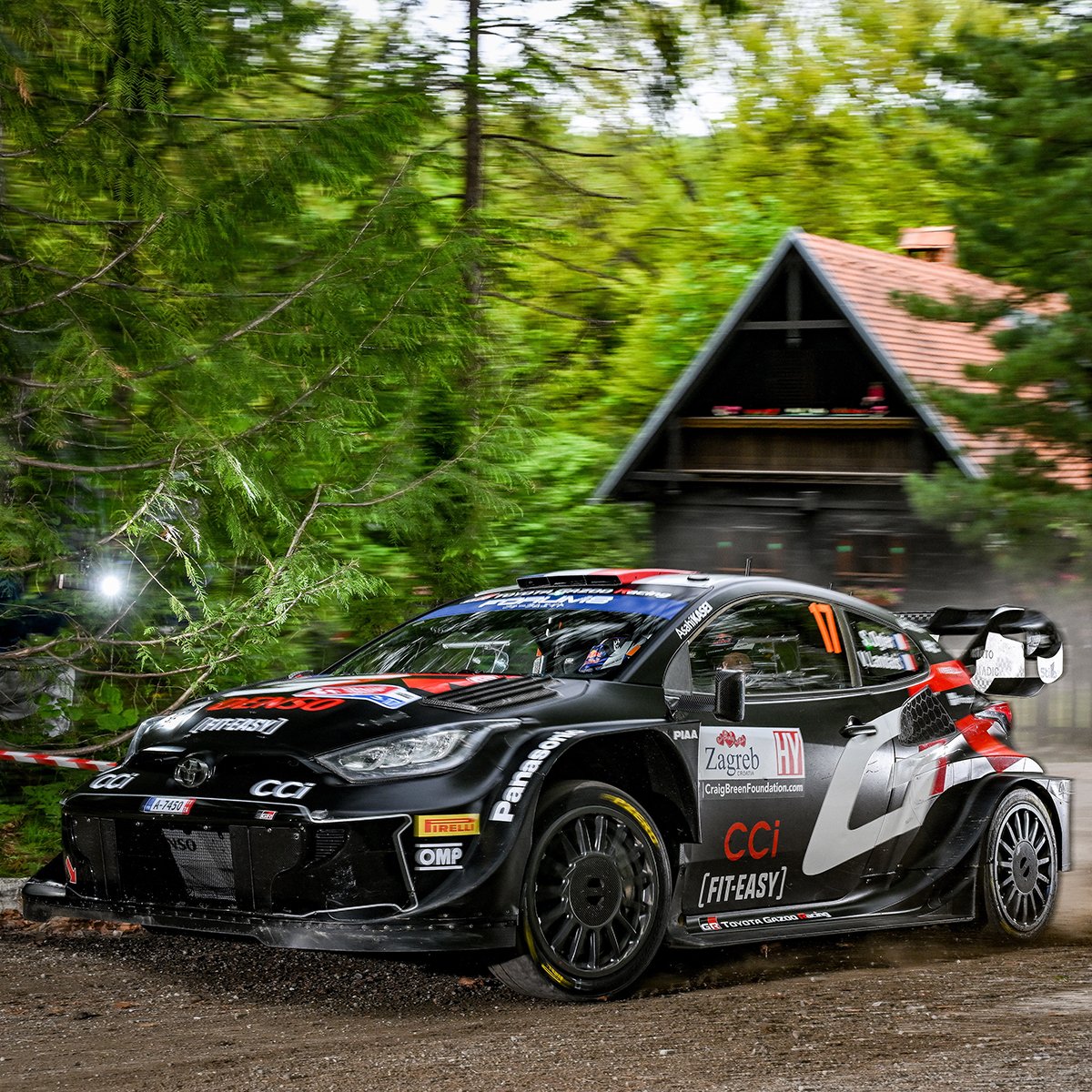 WRC | Final Day - Rally di Croazia: Ogier vince tra i drama